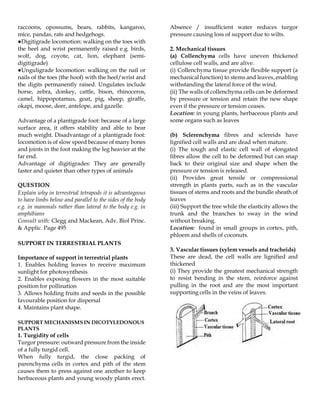 SUPPORT AND LOCOMOTION NOTES FOR UACE.pdf