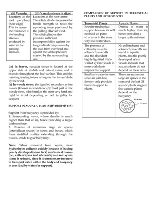 SUPPORT AND LOCOMOTION NOTES FOR UACE.pdf