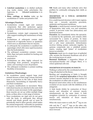 SUPPORT AND LOCOMOTION NOTES FOR UACE.pdf