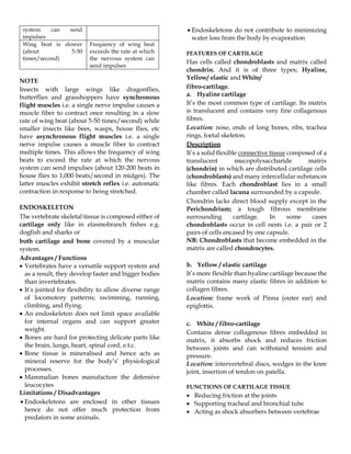 SUPPORT AND LOCOMOTION NOTES FOR UACE.pdf