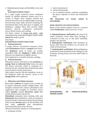 SUPPORT AND LOCOMOTION NOTES FOR UACE.pdf