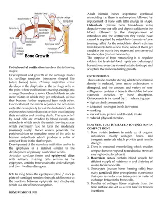 SUPPORT AND LOCOMOTION NOTES FOR UACE.pdf