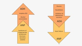 ADH&ANP.pptx