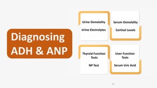 ADH&ANP.pptx