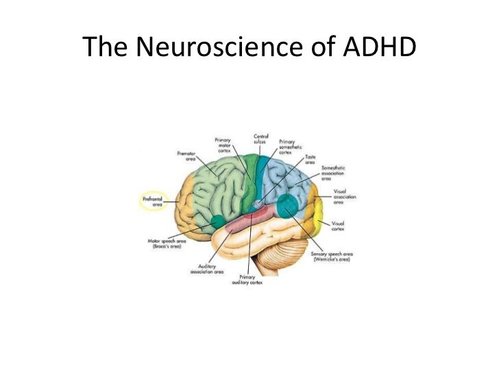 Adhd