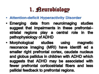Attention Deficit Hyperactivity Disorders | PPT