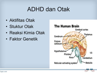 Adhd | PDF