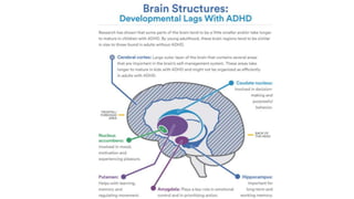 ADHD | PPT