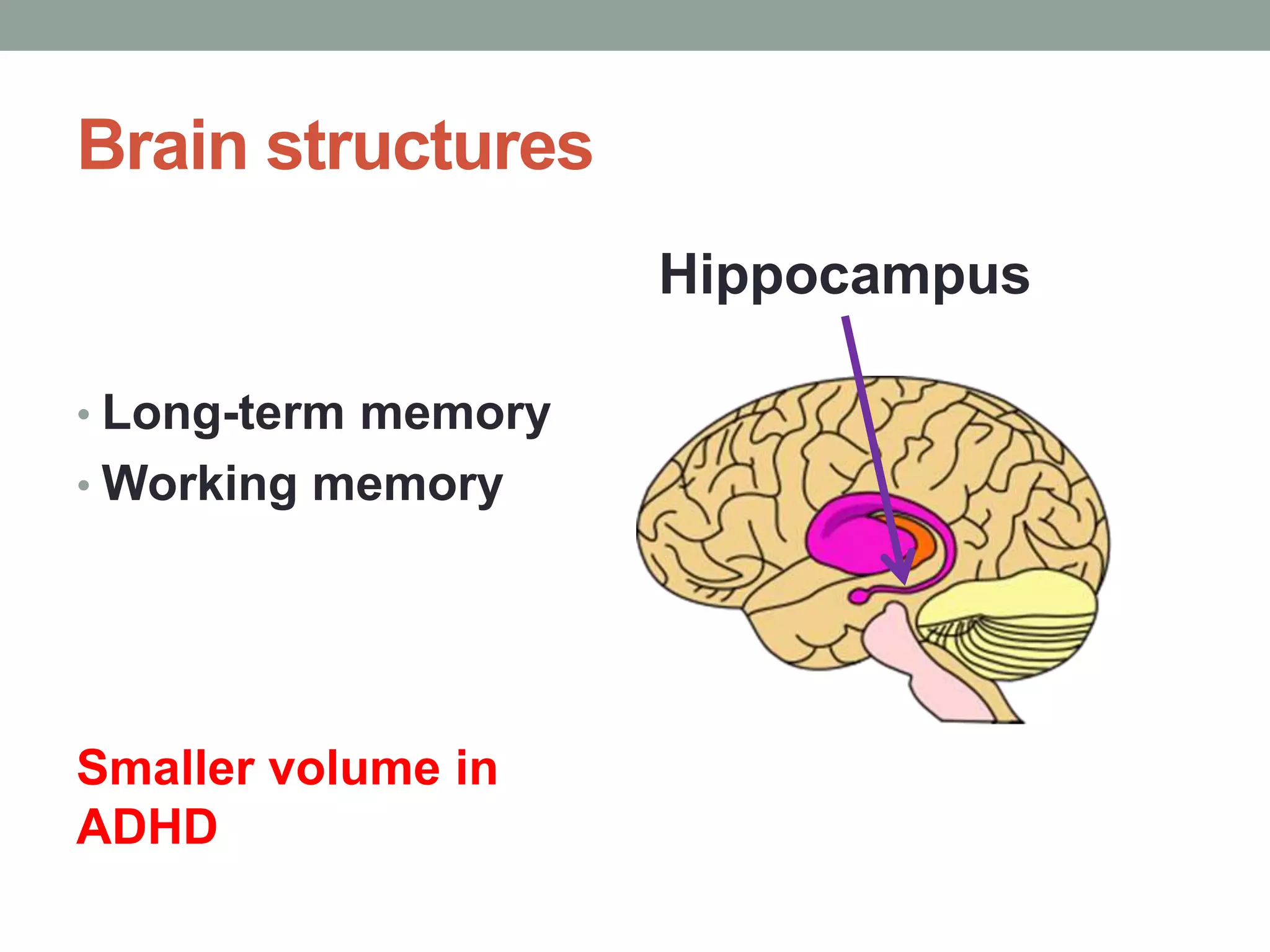 Adhd brain-development-and-function-space-stockport-19-10-2018 | PPT
