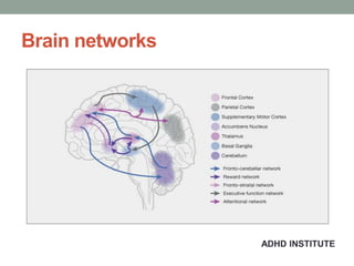 Adhd brain-development-and-function-space-stockport-19-10-2018 | PPTX