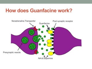 Adhd brain-development-and-function-space-stockport-19-10-2018 | PPT