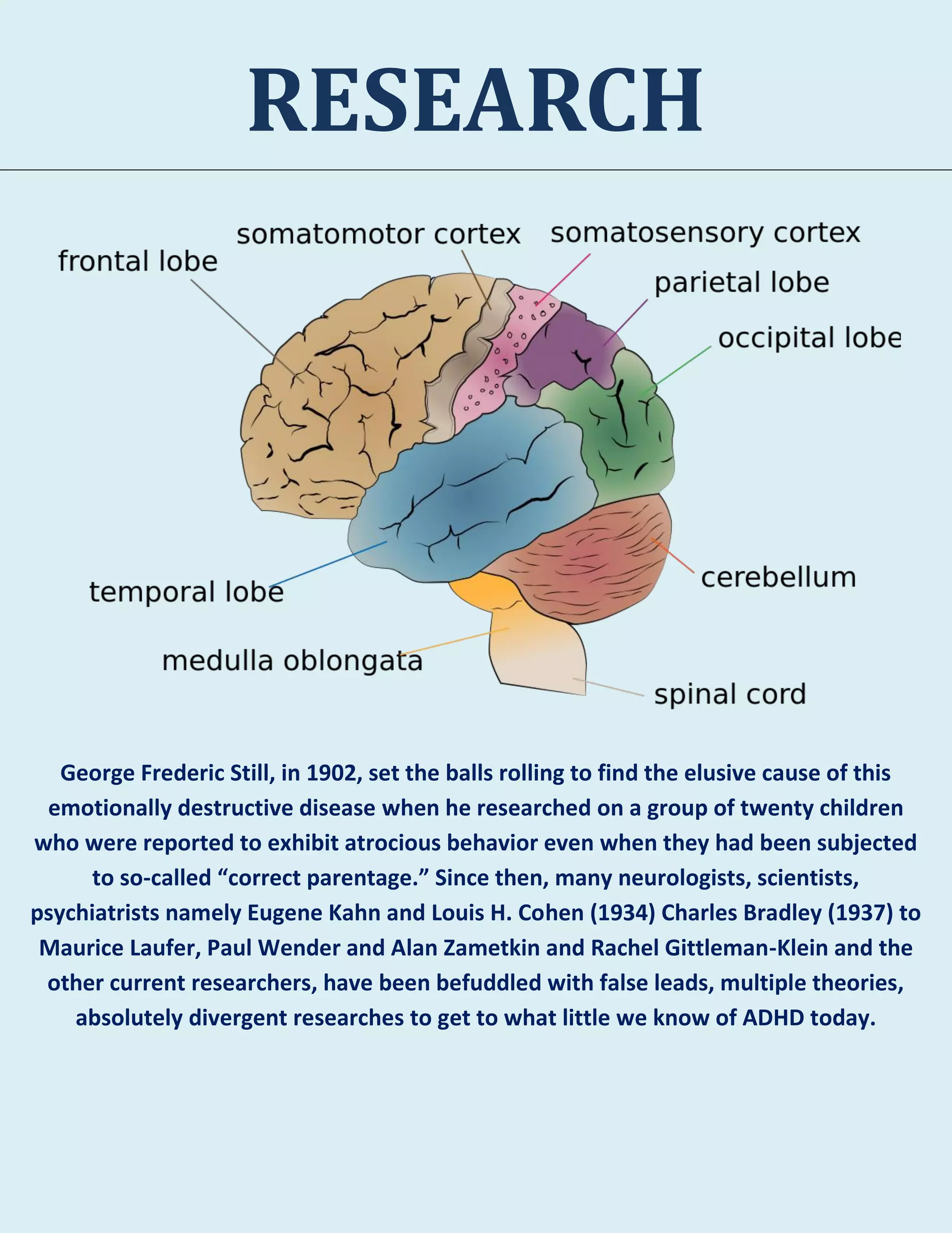 ADHD Education for Adults | PDF
