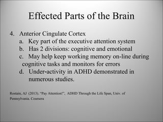 Adhd (final paper) | PPT