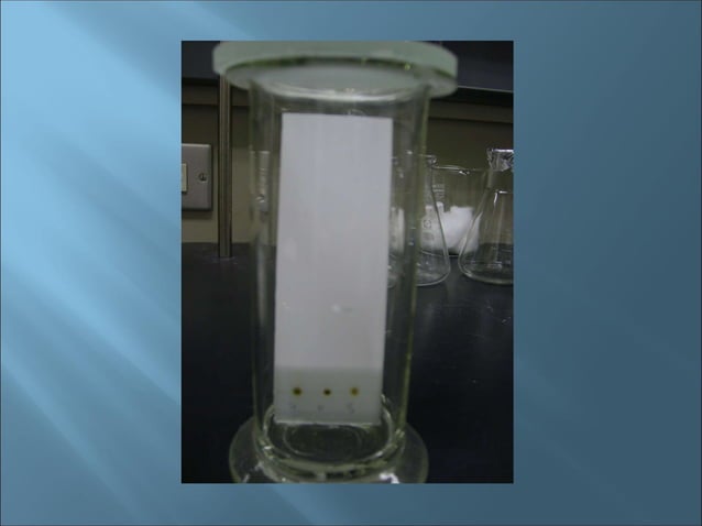 Adhesi kohesi kapilaritas | PPT