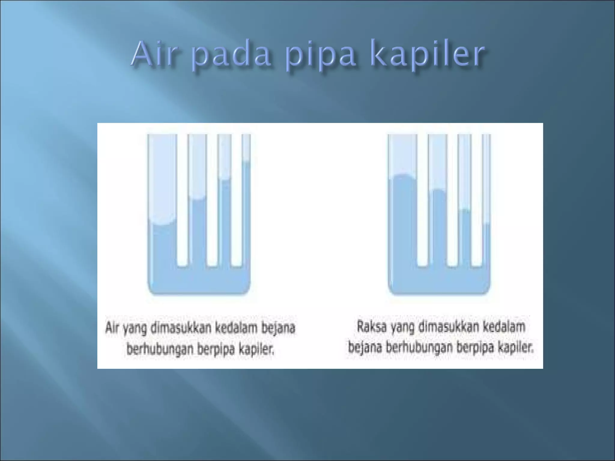 Adhesi kohesi kapilaritas | PPT