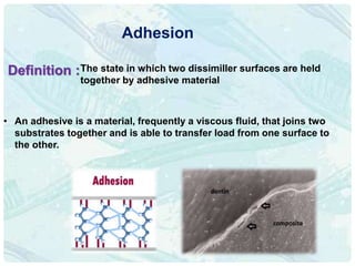 adhesion.pptx
