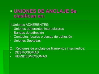 Adhesion celular-y-matriz-extracelular2089 | PPT