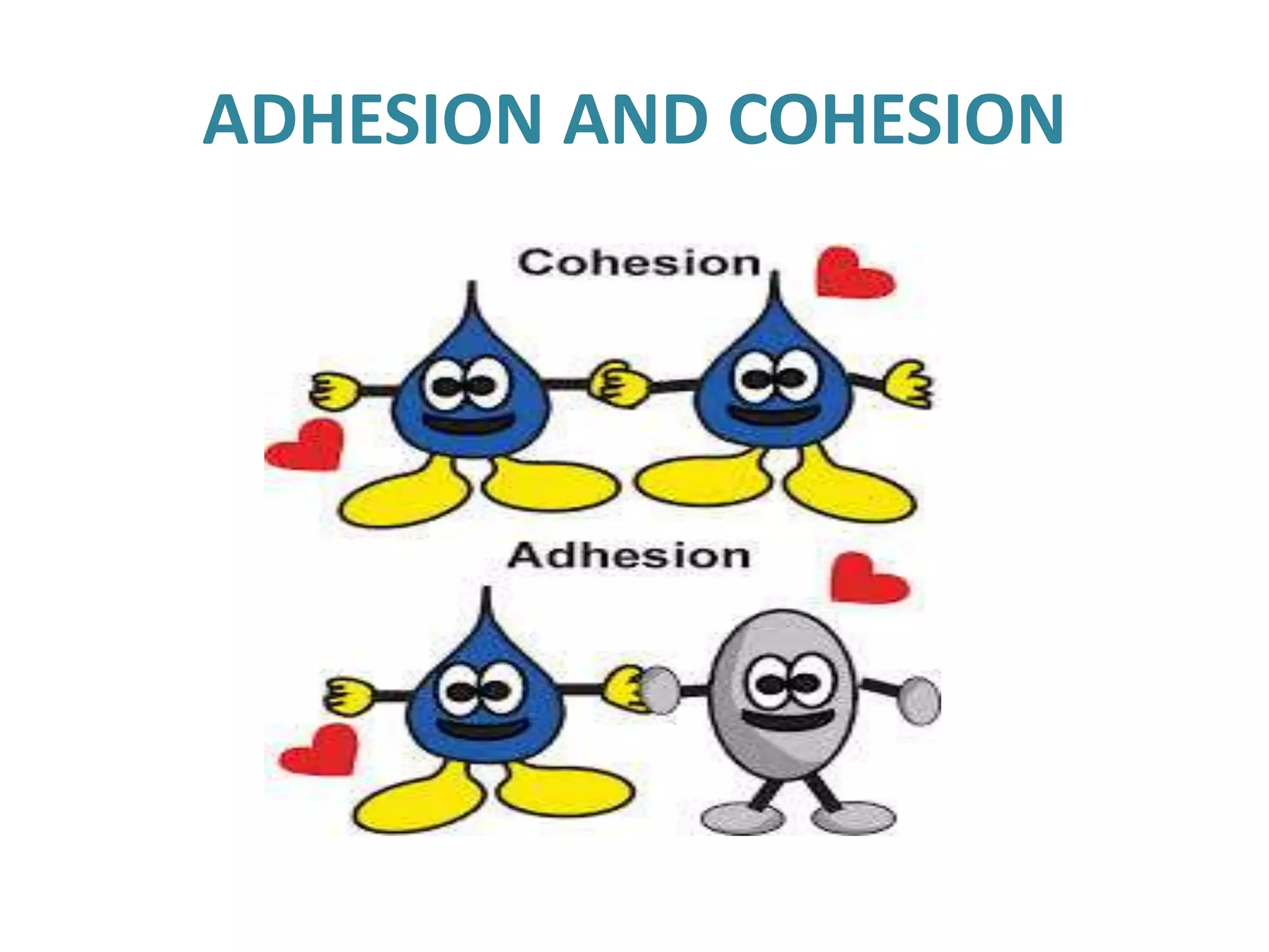 Adhesion and cohesion | PPTX