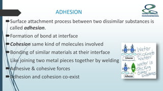 Adhesion and surface phenomenon | PPTX