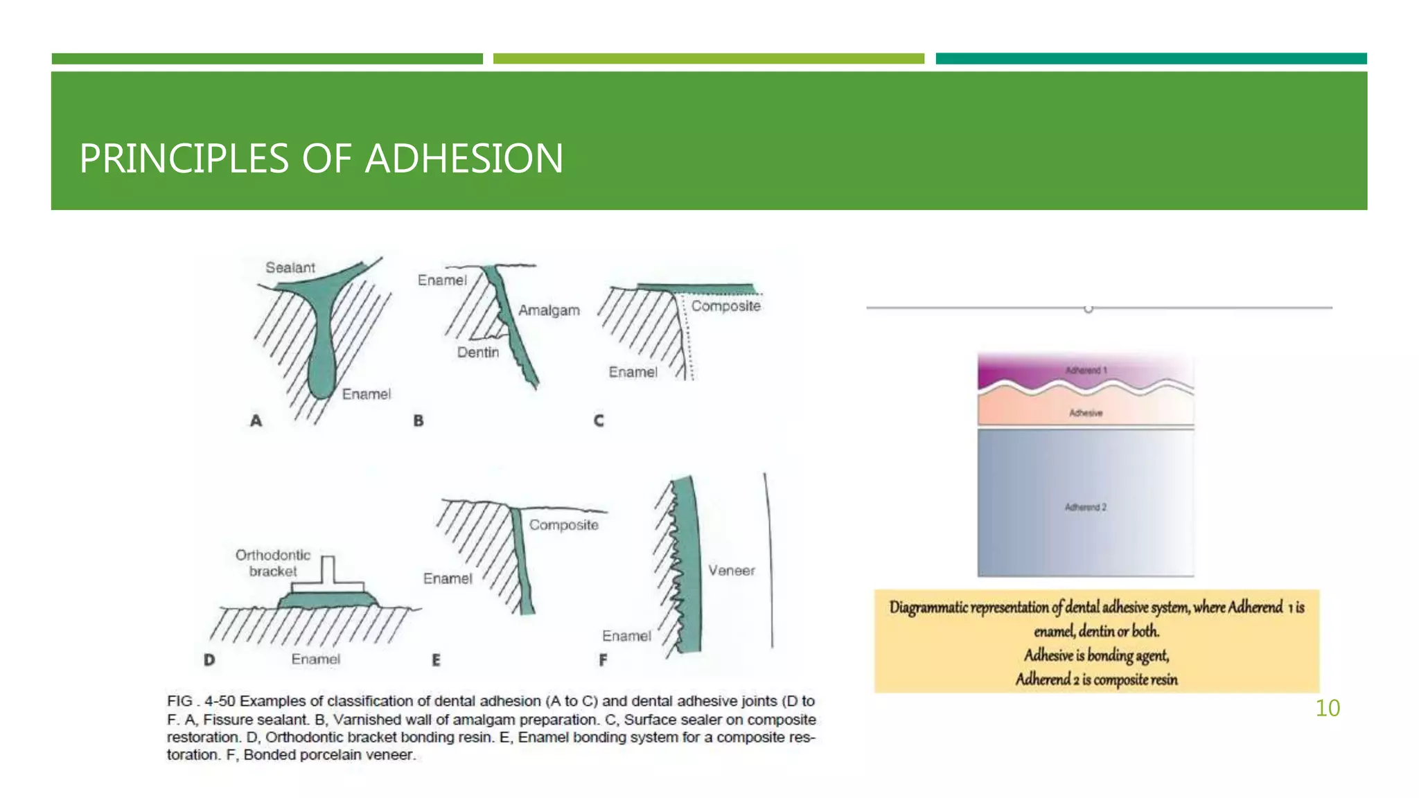Adhesion & Bonding in Dentistry | PPTX