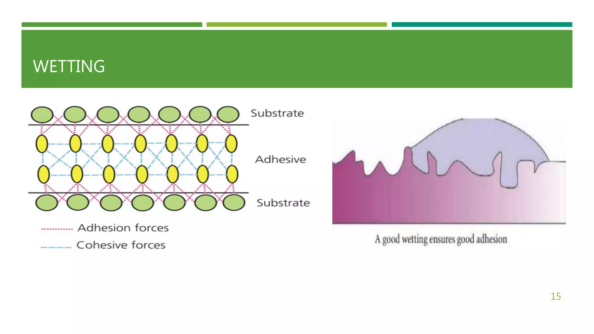 Adhesion & Bonding in Dentistry | PPTX