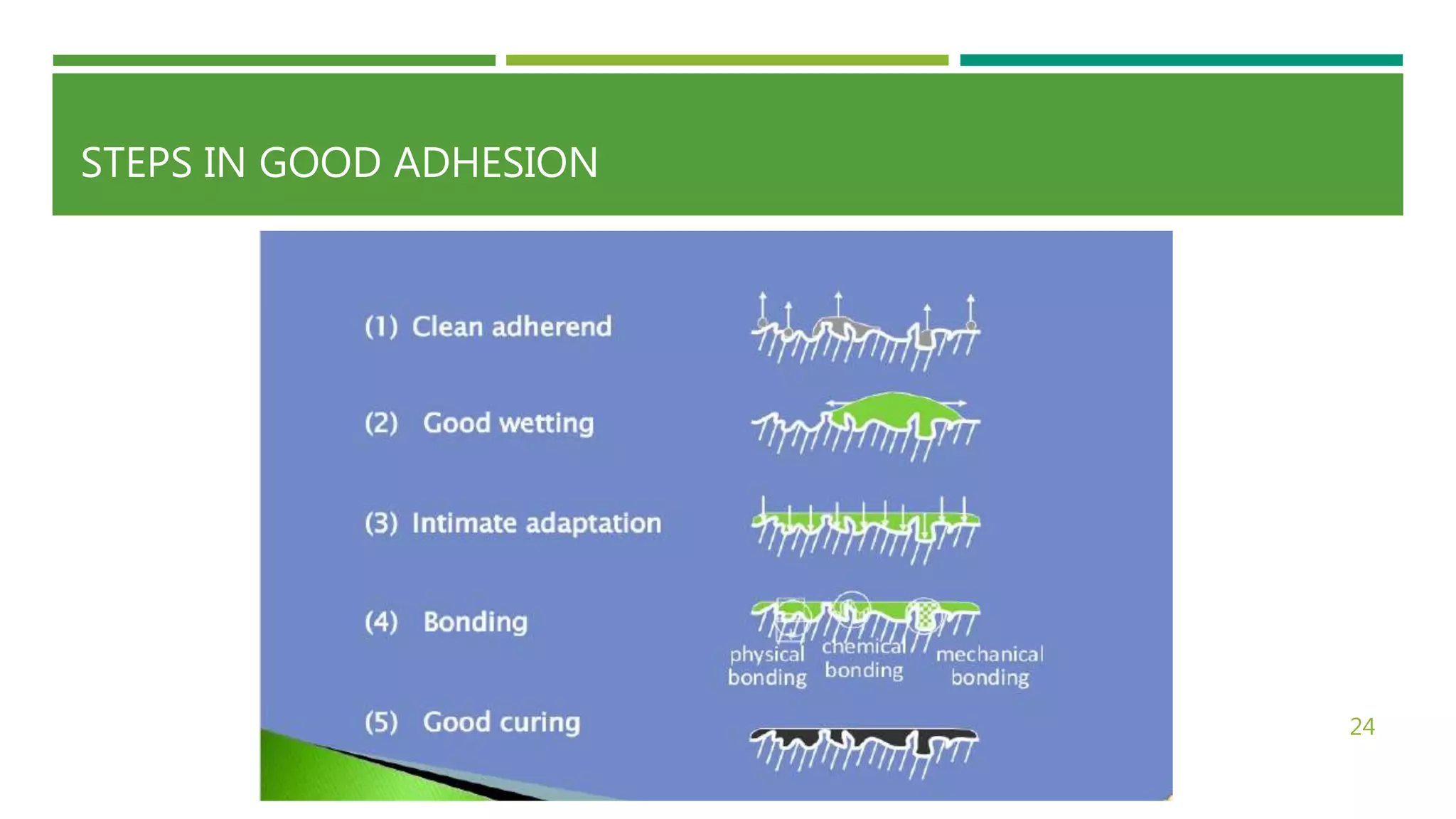Adhesion & Bonding in Dentistry | PPTX
