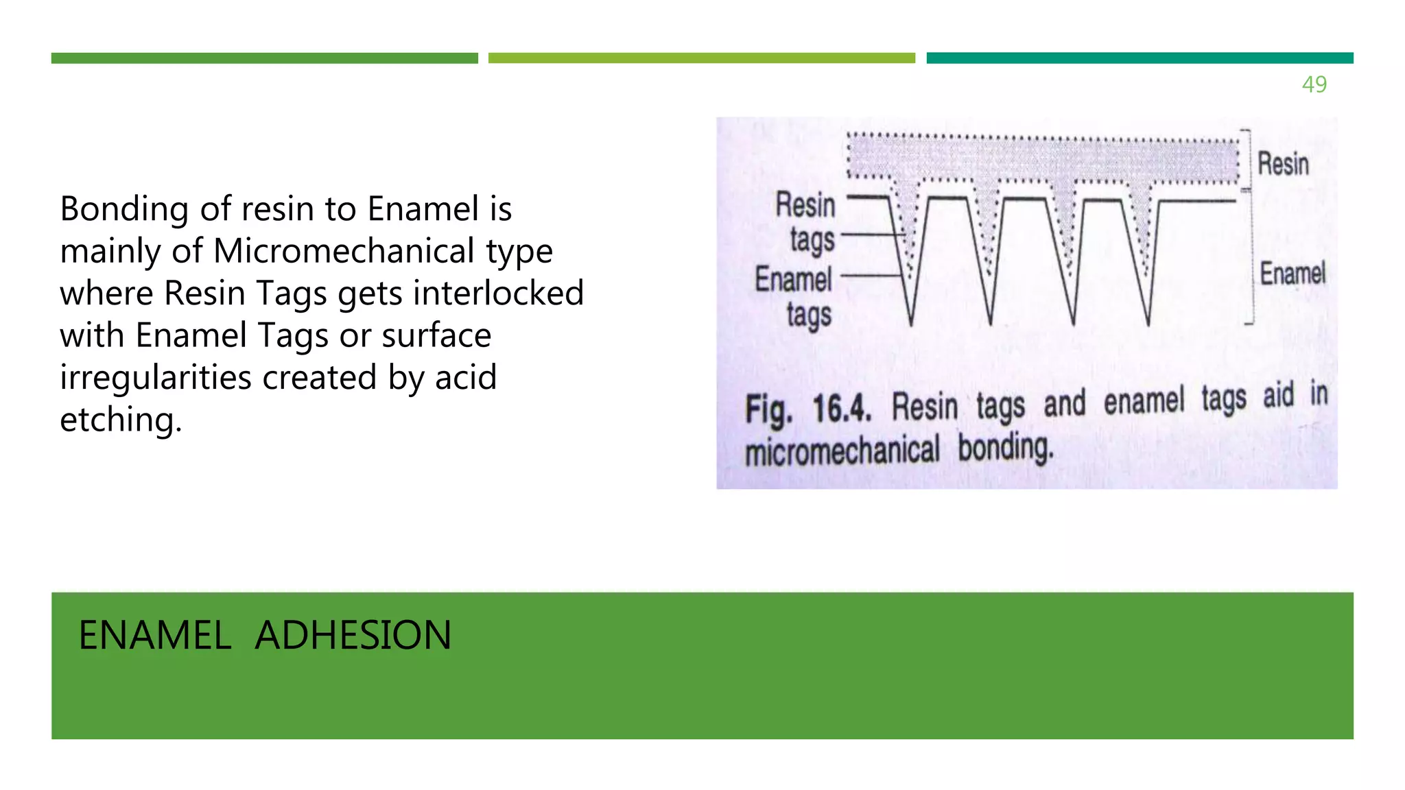 Adhesion & Bonding in Dentistry | PPTX