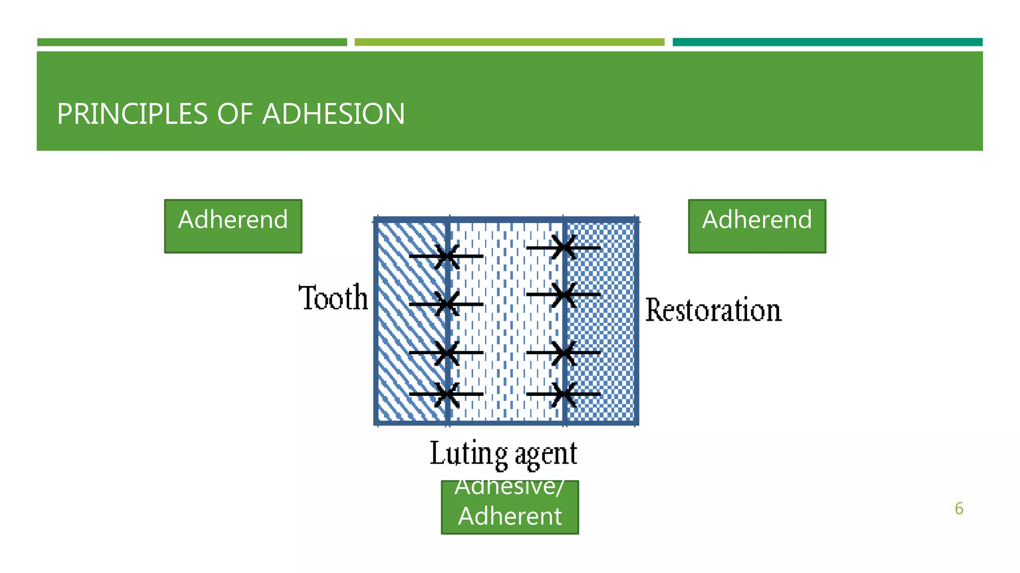 Adhesion & Bonding in Dentistry | PPTX