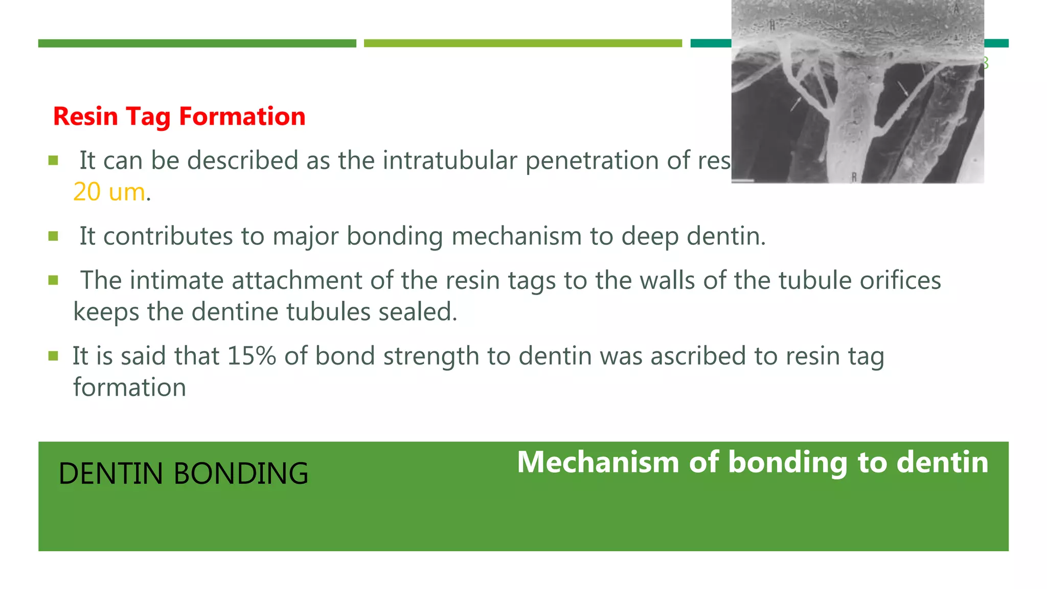 Adhesion & Bonding in Dentistry | PPTX