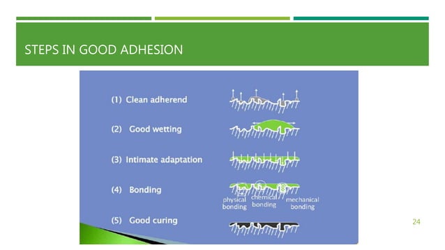 Adhesion & Bonding in Dentistry | PPTX | Dental Health | Diseases and ...
