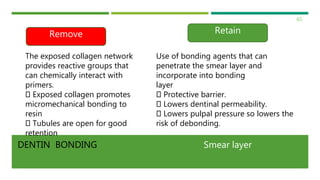 Adhesion & Bonding in Dentistry | PPTX