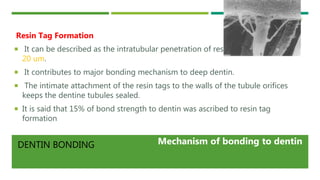 Adhesion & Bonding in Dentistry | PPTX