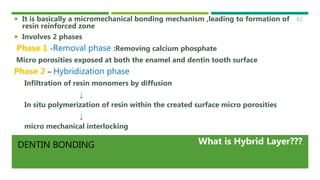 Adhesion & Bonding in Dentistry | PPTX