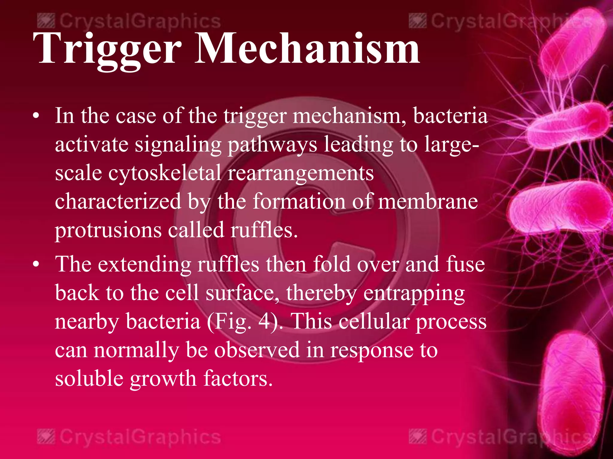 Adhesion, invasion and colonization | PPTX