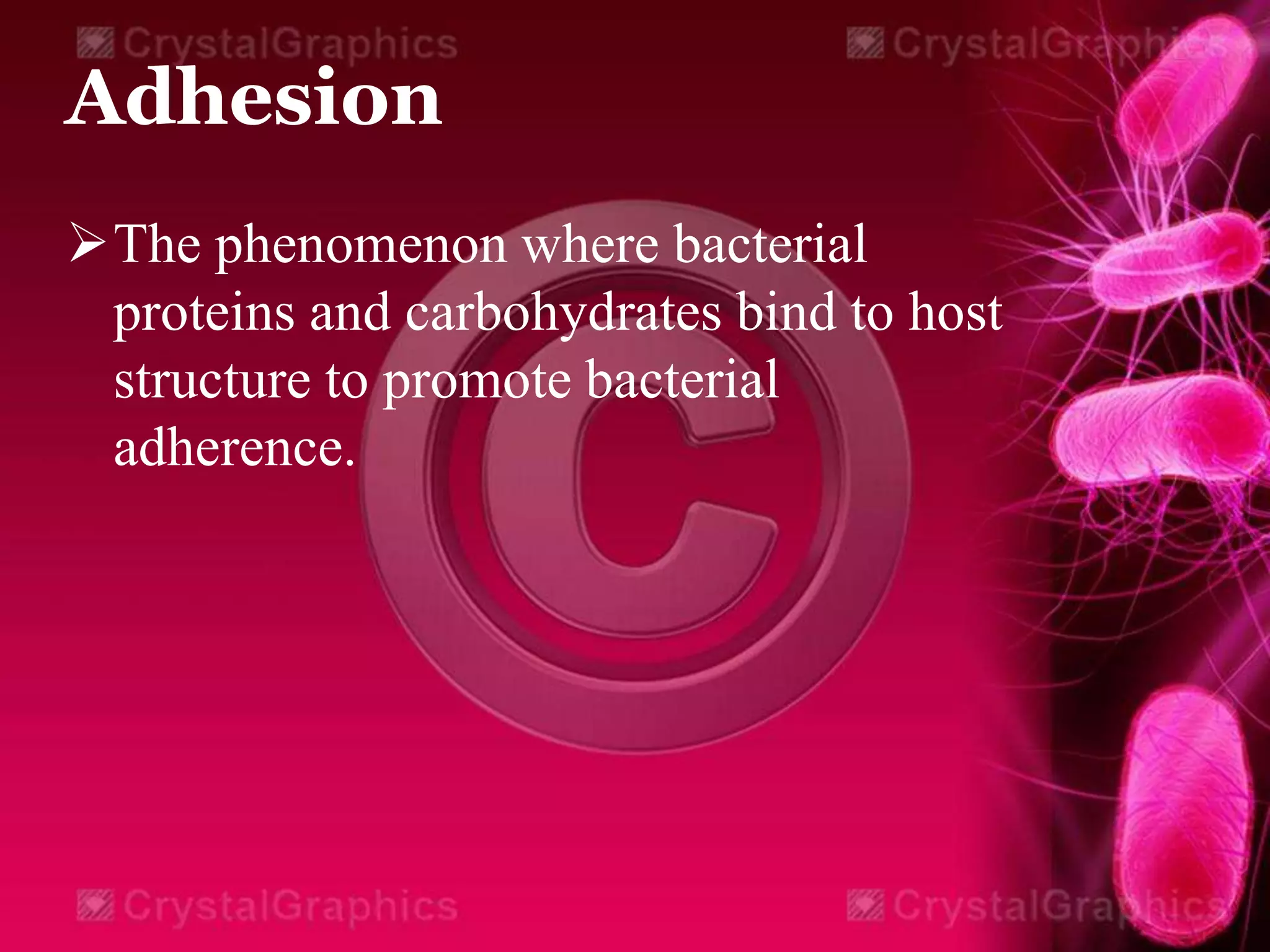 Adhesion, invasion and colonization | PPTX