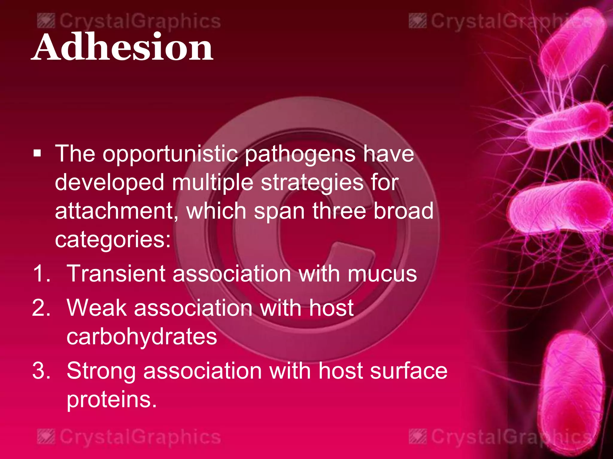Adhesion, invasion and colonization | PPTX
