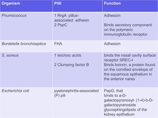 Adhesion, invasion and colonization | PPTX