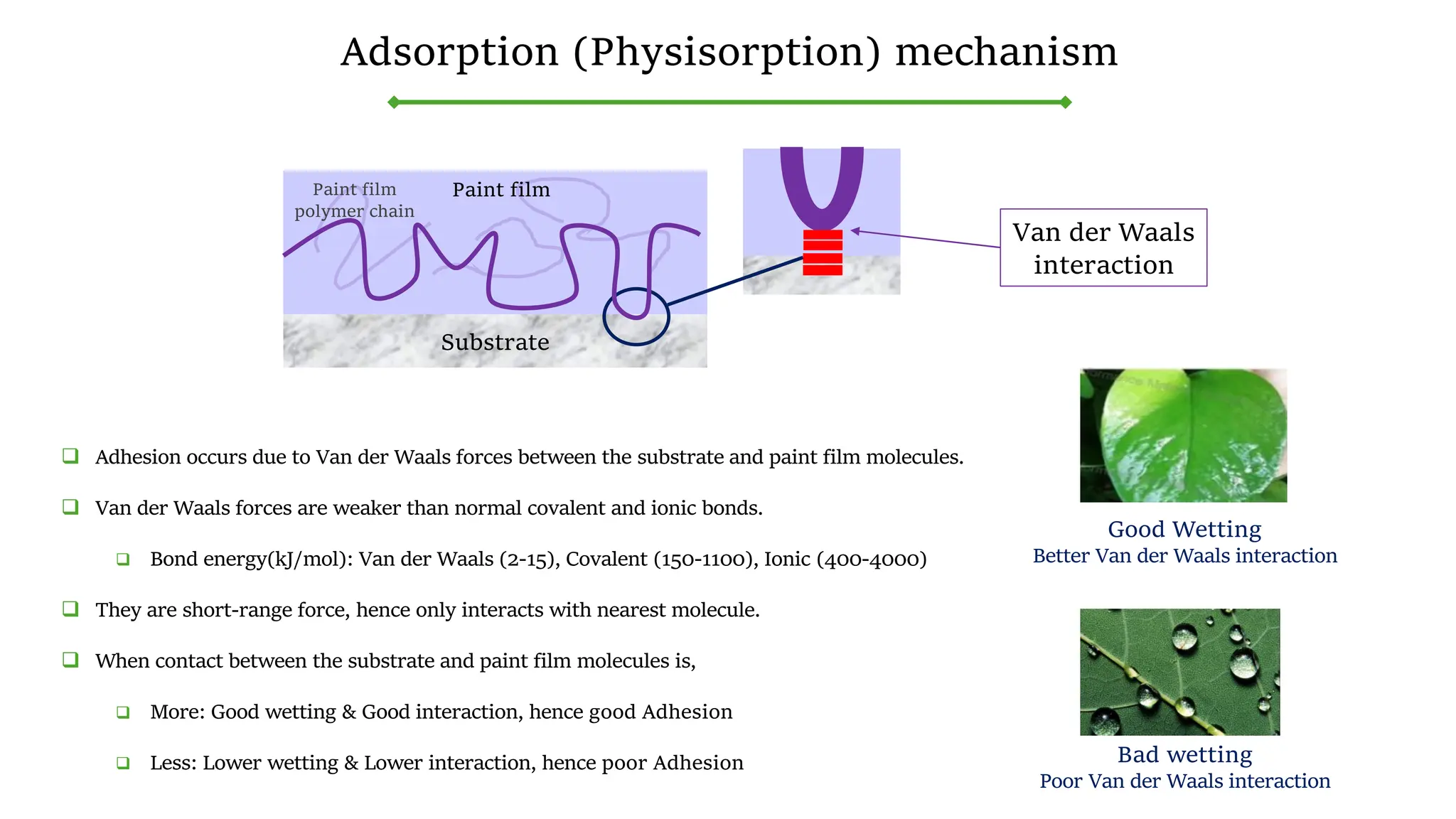 Adhesion Mechanism | PDF