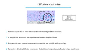 Adhesion Mechanism | PDF