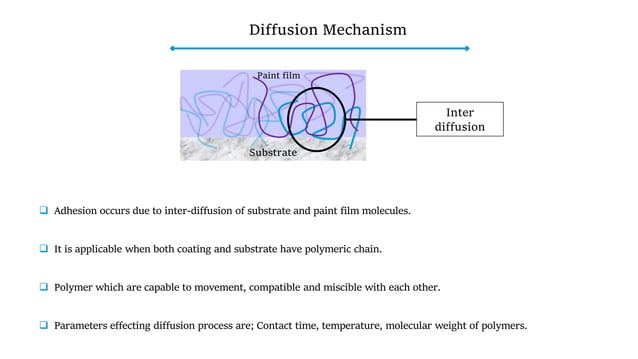 Adhesion Mechanism | PDF