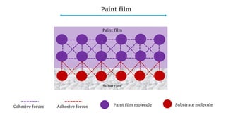 Adhesion Mechanism | PDF