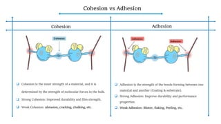 Adhesion Mechanism | PDF