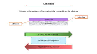 Adhesion Mechanism | PDF