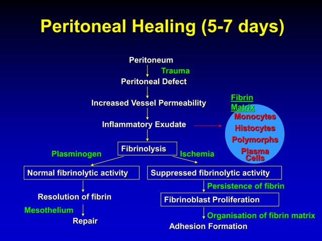 Adhesion prevention in peritoneal surgery | PPT