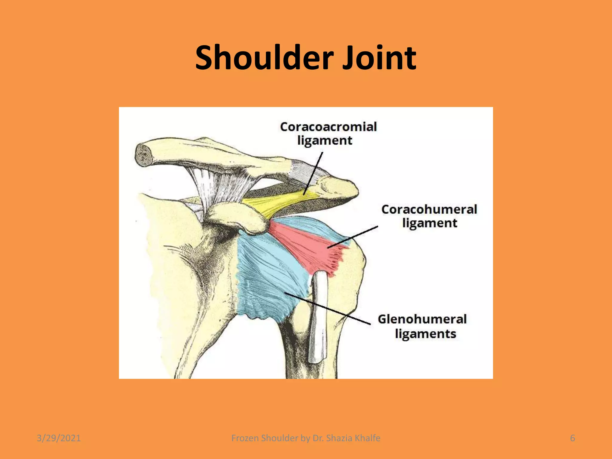 Adhesive Capsulitis | PPTX