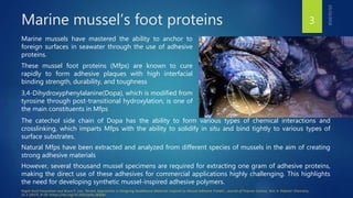 Adhesive proteins | PPTX