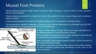 Adhesive proteins | PPTX