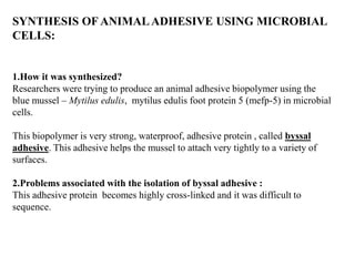 Adhesive proteins | PPTX | Biotech and Biomedical Industry | Industries