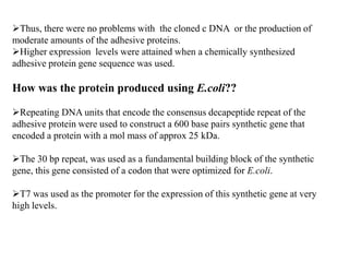 Adhesive proteins | PPT