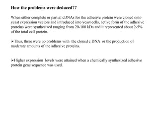 Adhesive proteins | PPT